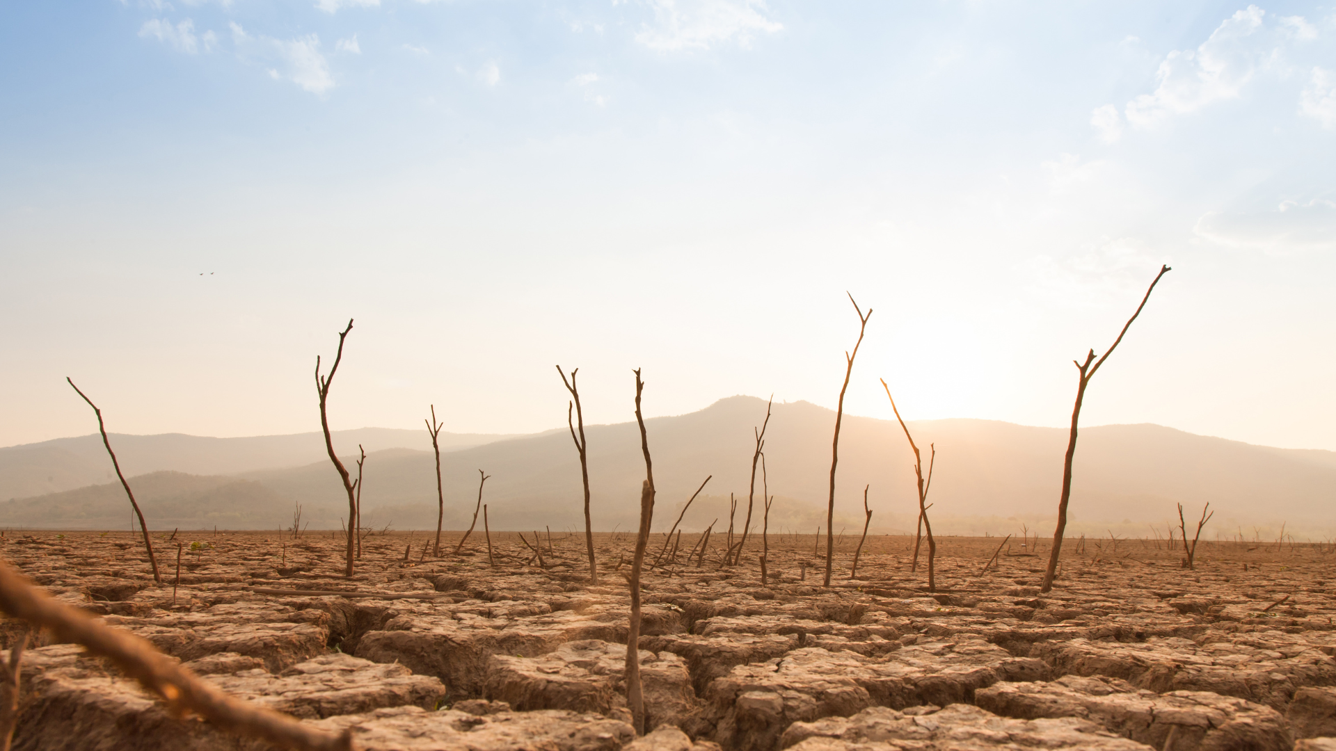 Impact of Climate Change on your Business/ Organisation - Sattva Consulting
