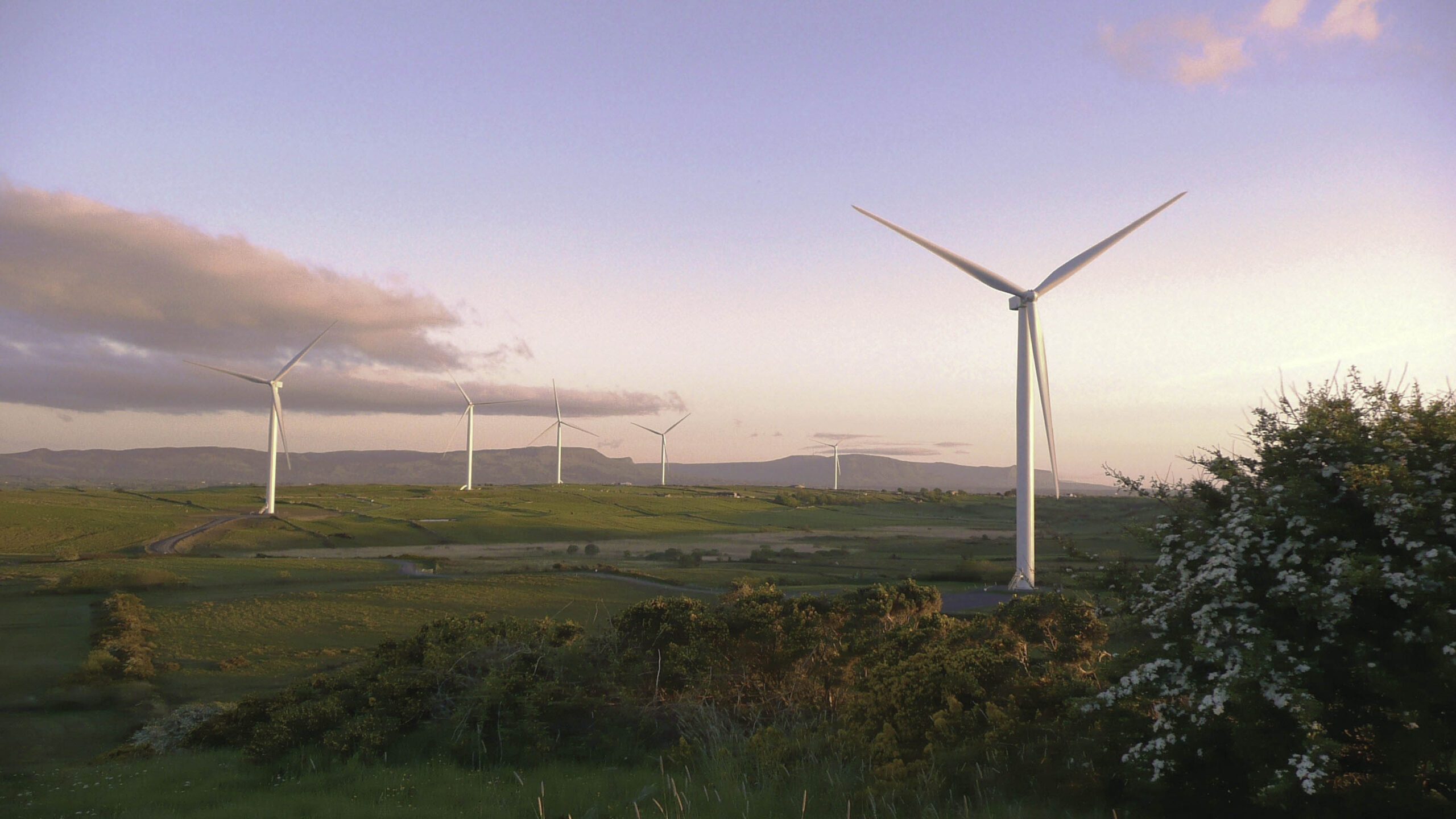 Navigating Regulatory Rapids of the ESG Landscape - Sattva Consulting